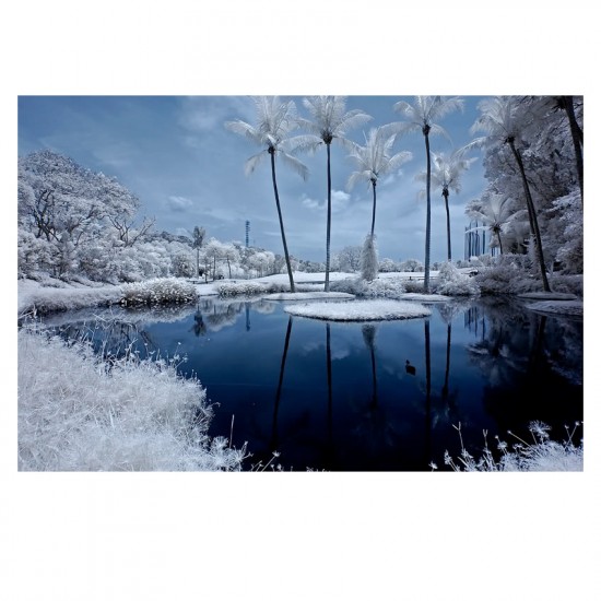 Hoya Infrared IR R72 Filter 720 nm 52mm